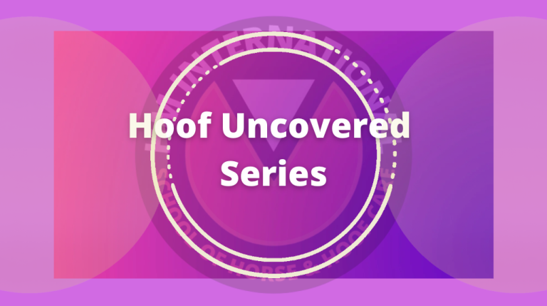Home – HMI School of Horse & Hoof Care